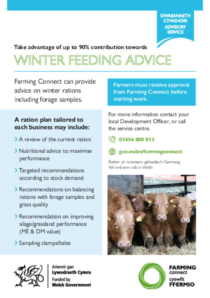 Winter Feeding Advice | Farming Connect